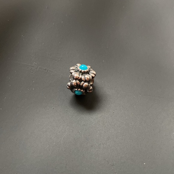 Pandora | Jewelry | Pandora December Birthday Blooms Charm Retired ...